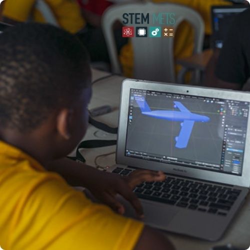 STEM METS